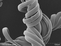 Examples of SEM Coating Fluid Bel 1 on material samples