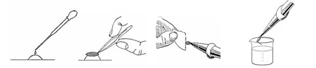 TSB UranyLess classic and negative staining protocols