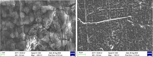 SEM Vacuum Transfer Shuttle for air-sensitive samples