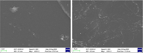 SEM Vacuum Transfer Shuttle for air-sensitive samples